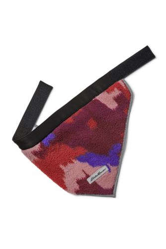 We Wander Pet Bandana | Eddie Bauer